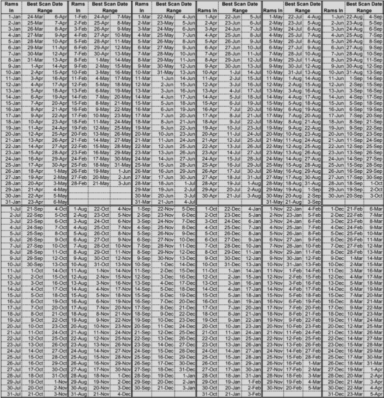 Optimal Scanning Table - Tom Mason Sheep Scanning